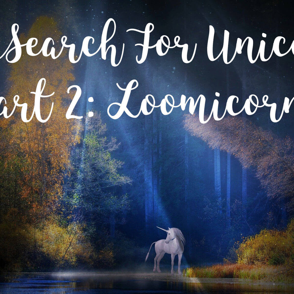 The Search for Unicorns Part 2 - Loomicorns
