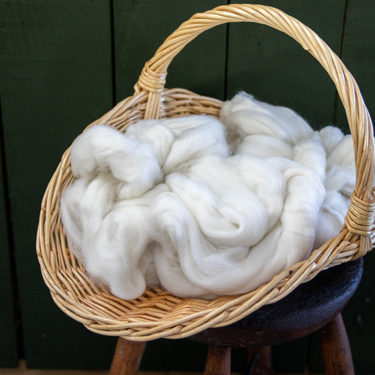 Widest Selection of Spinning Fibers | The Woolery